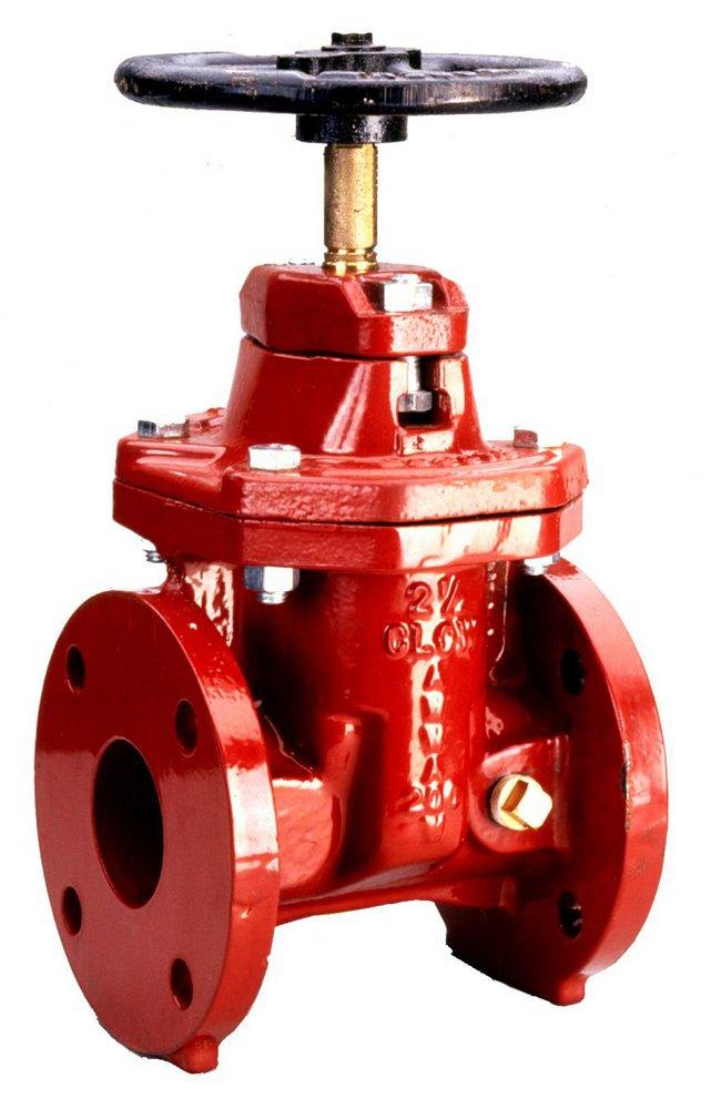 Zurn Wilkins 4 in. Ductile Iron Full Port Flanged Gate Valve | Ferguson