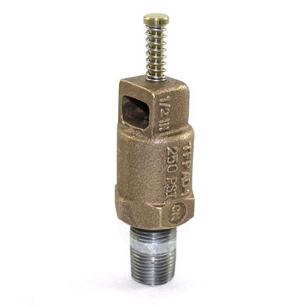 Tyco 1/2 in. Bronze MNPT Auto Drain Valve | Ferguson