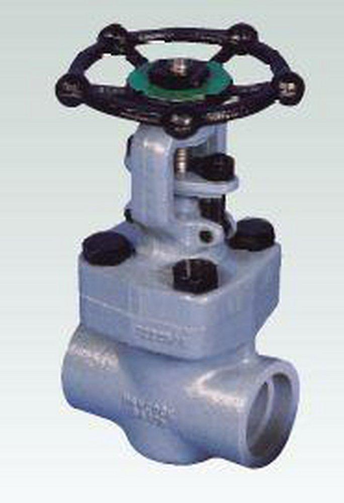 2 in. Forged Steel Standard Port Socket Weld Gate Valve | Hancock ...