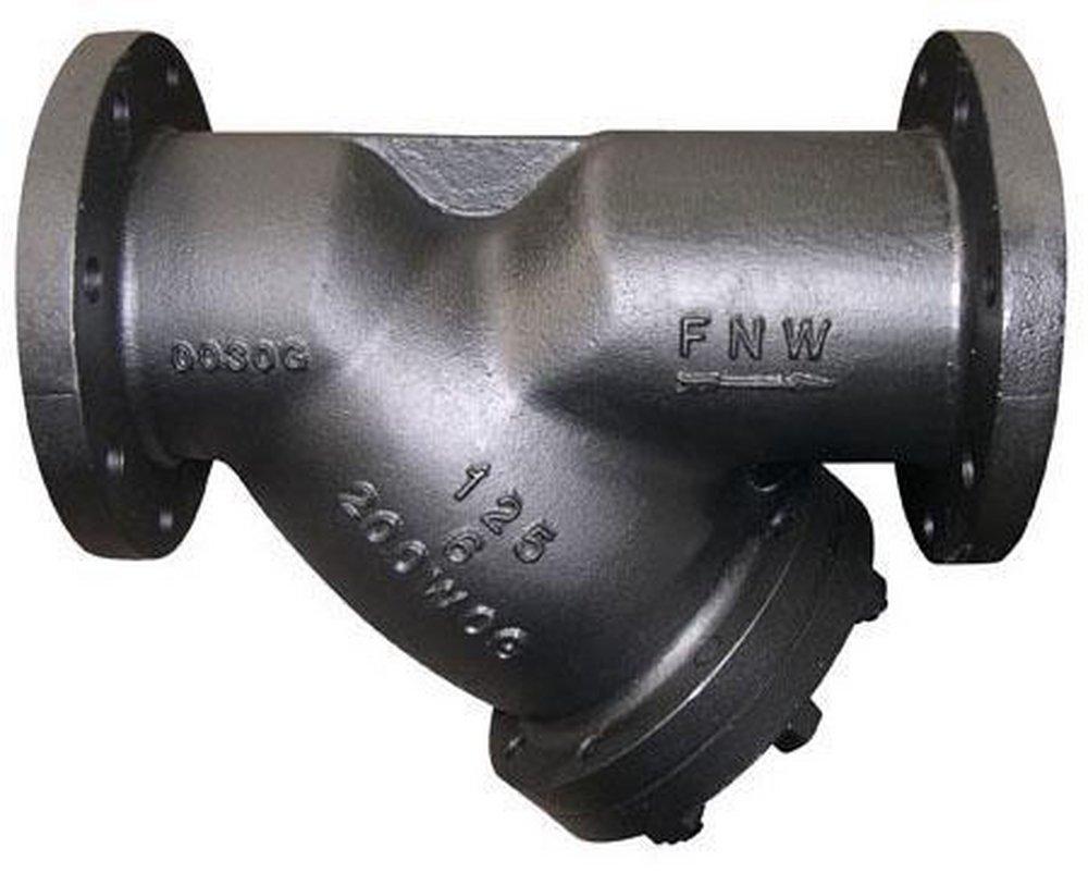 FNW® 4 in. Cast Iron 125# Flanged Perforated .062 Wye Strainer | Ferguson