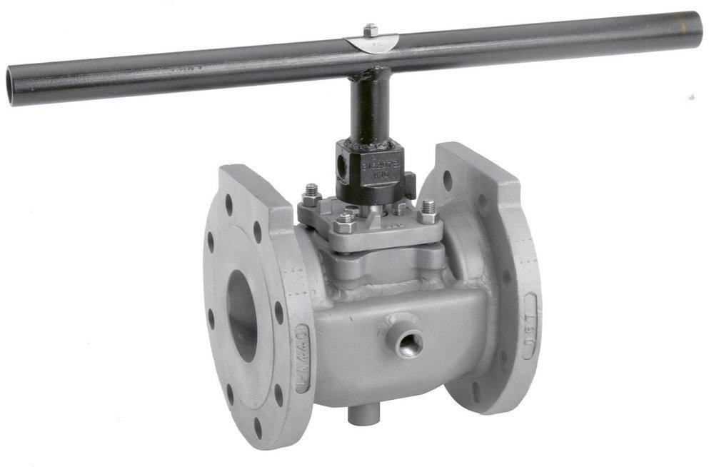 XOMOX 4 in. Stainless Steel and PTFE 150 psi Flanged Gear Operator Plug ...