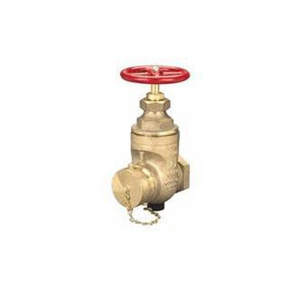 Powhatan 2-1/2 in. Female x Male Cast Brass Resilient Wedge Gate Valve ...