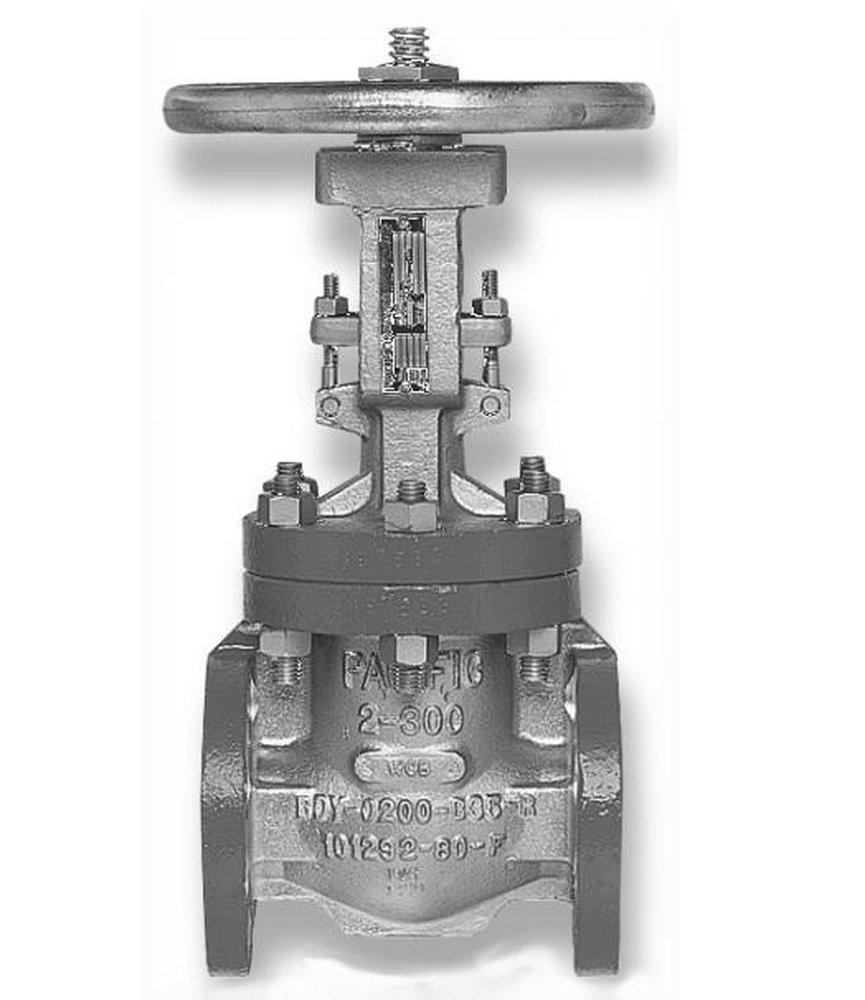 Pacific Valves 4 in. Carbon Steel Full Port Flanged Gate Valve | Ferguson