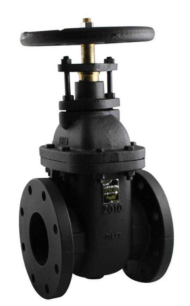 Apollo Valves 3 in. Cast Iron Full Port Flanged Gate Valve | Ferguson